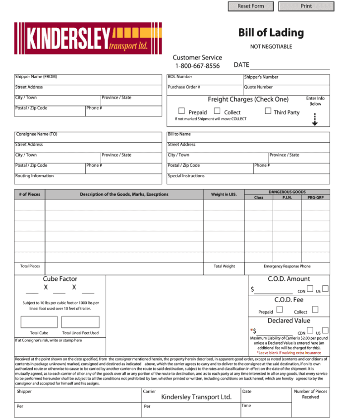 What is Bill of Lading– Types, Importance, and Example