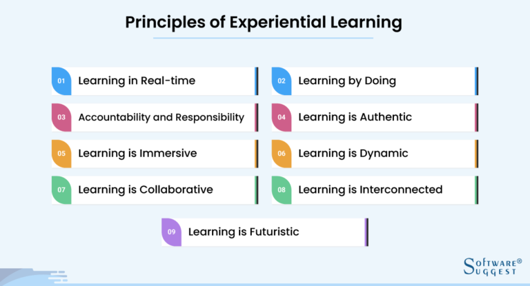 What is Experiential Learning and Why is It Important in 2023 – purshoLOGY